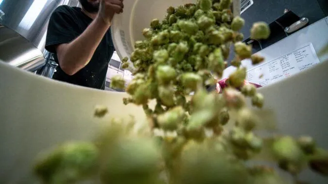 Commercial Food Waste Bins | Food Waste Bins and Containers