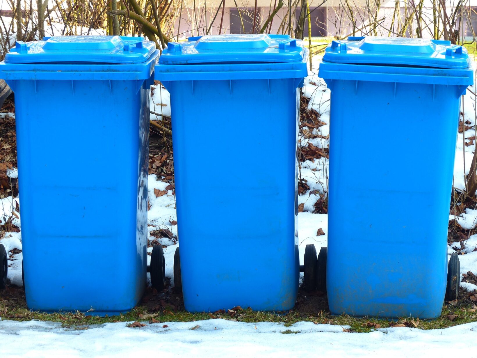 Common Questions and Answers About Wheelie Bins