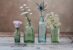How to Reduce Glass Waste | Ways to Reuse Glass Bottles